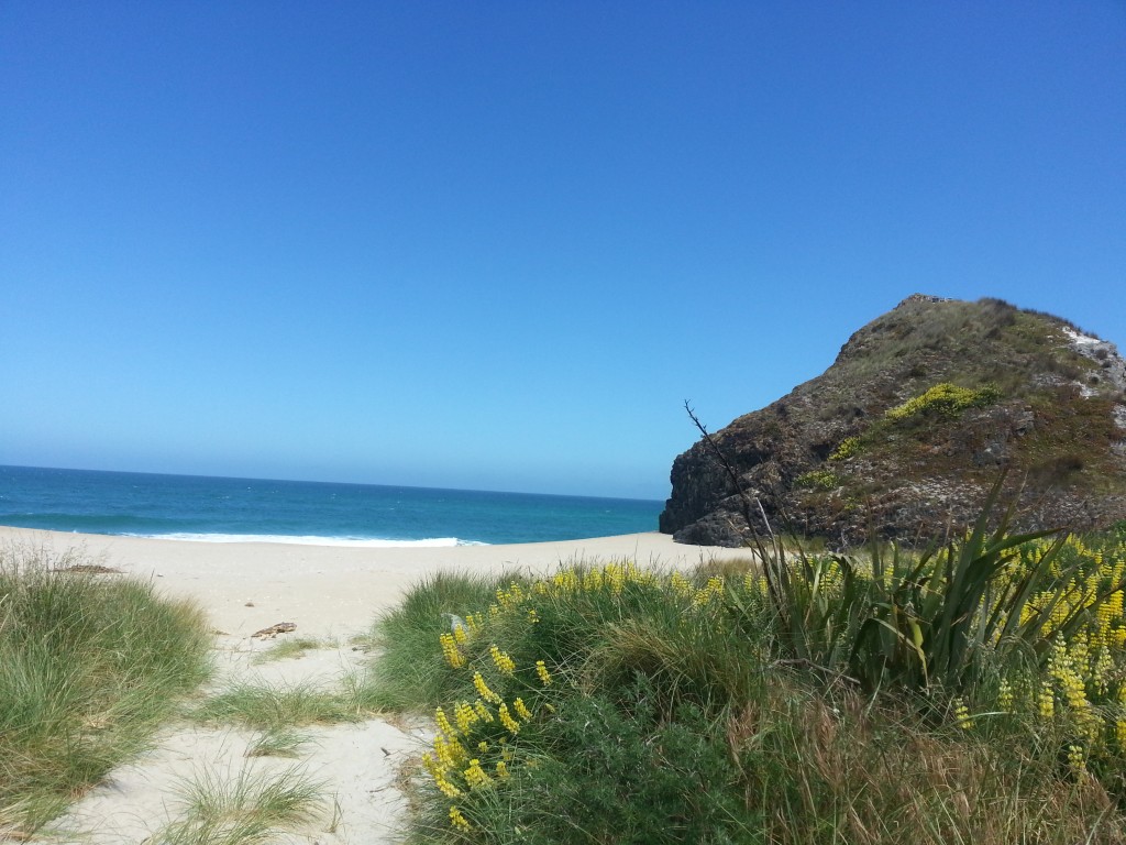 Greater Dunedin Area – Kiwi Adventures