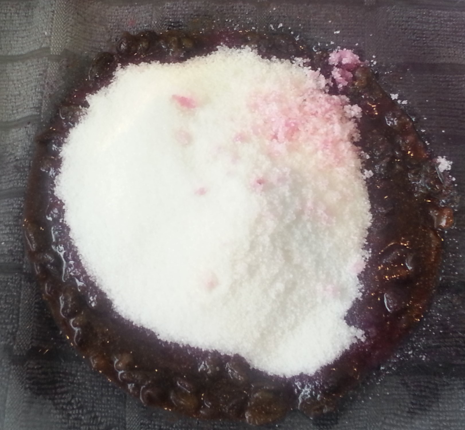 Early Settler Style Tree Fuchsia Jam – Kiwi Adventures