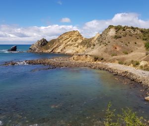 Greater Dunedin Area – Kiwi Adventures