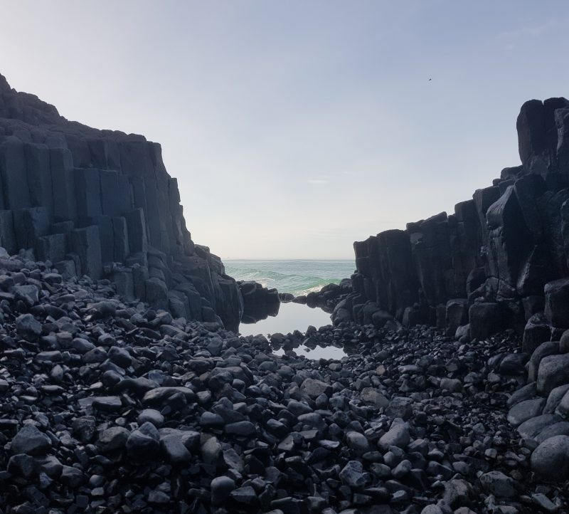 Greater Dunedin Area – Kiwi Adventures