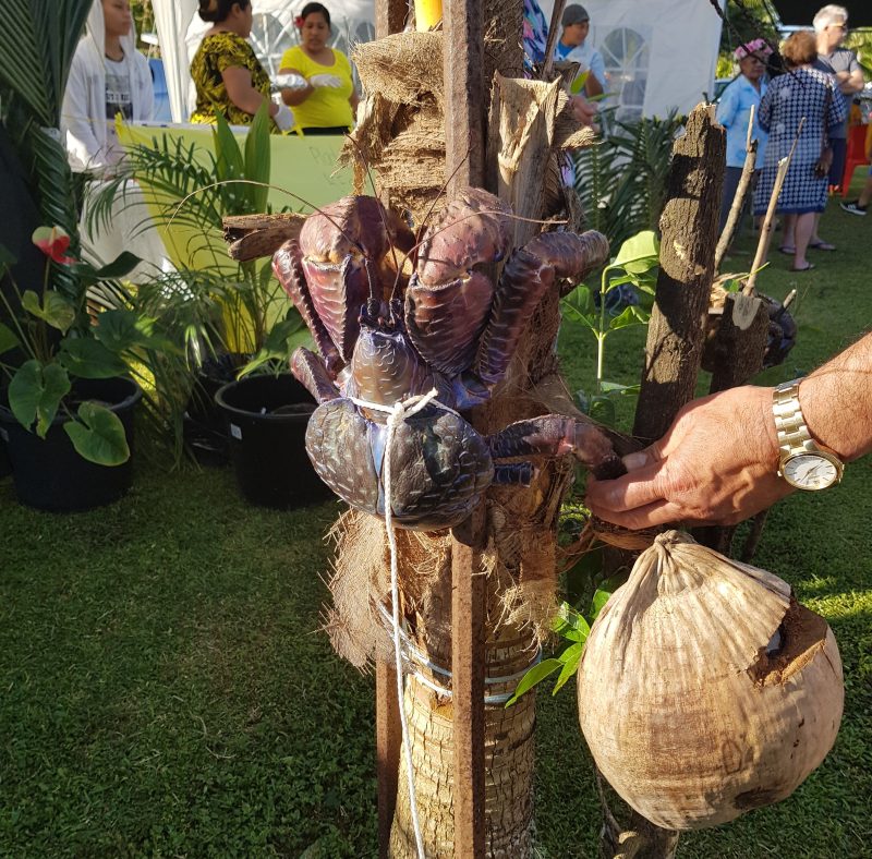 Making Friends and Making Baskets – Kiwi Adventures