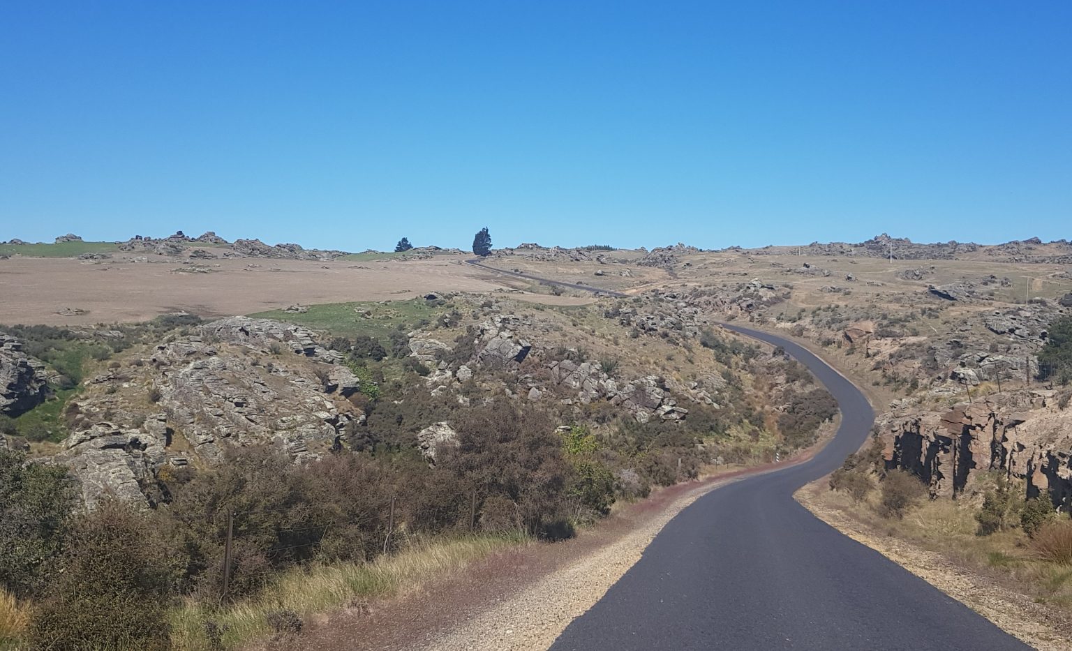 Greater Dunedin Area – Kiwi Adventures