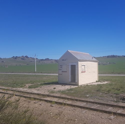 Road to Pukerangi – Kiwi Adventures